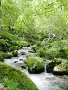 Terra-Deva-esprits-de-la-nature-torrent2 - La Bergerie des Bois