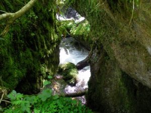 Terra Deva : voyage initiatique en partenariat avec les esprits de la ...