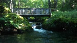 Terra-Deva-esprits-de-la-nature2 - La Bergerie des Bois