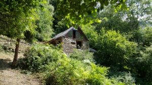Terra-Deva-rencontre-esprits-de-la-nature - La Bergerie des Bois